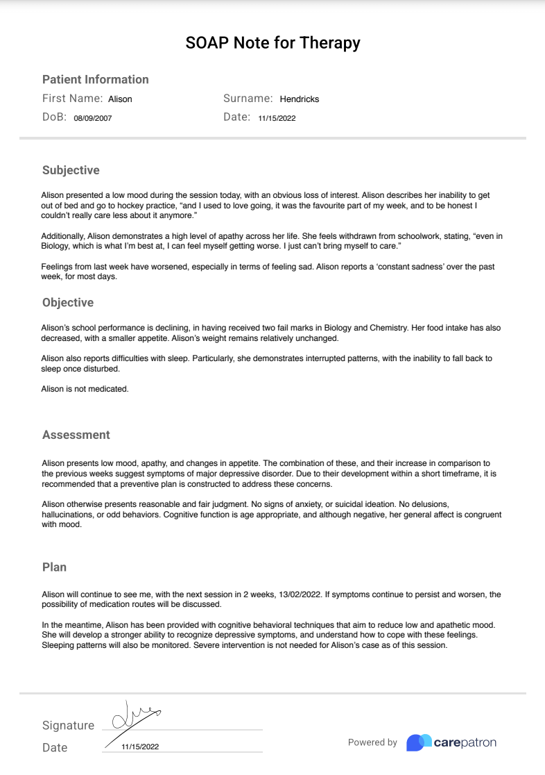 SOAP Notes For Therapy Template Example Free PDF Download